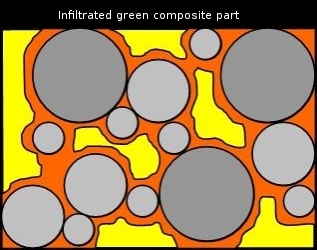 PIP Process - Starfire Systems